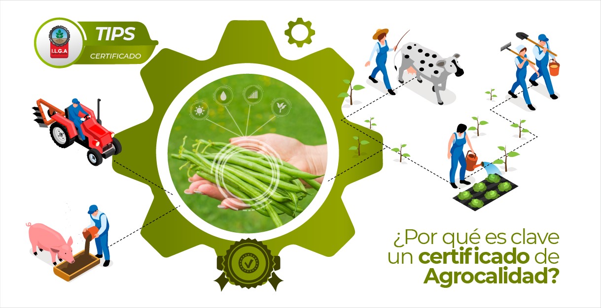 ¿Por qué es clave un certificado de Agrocalidad? - ILGA