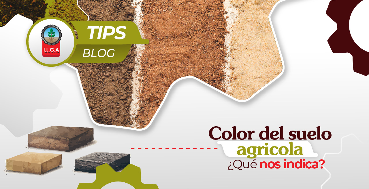 ¿Qué nos indica el color del suelo agrícola ? - ILGA