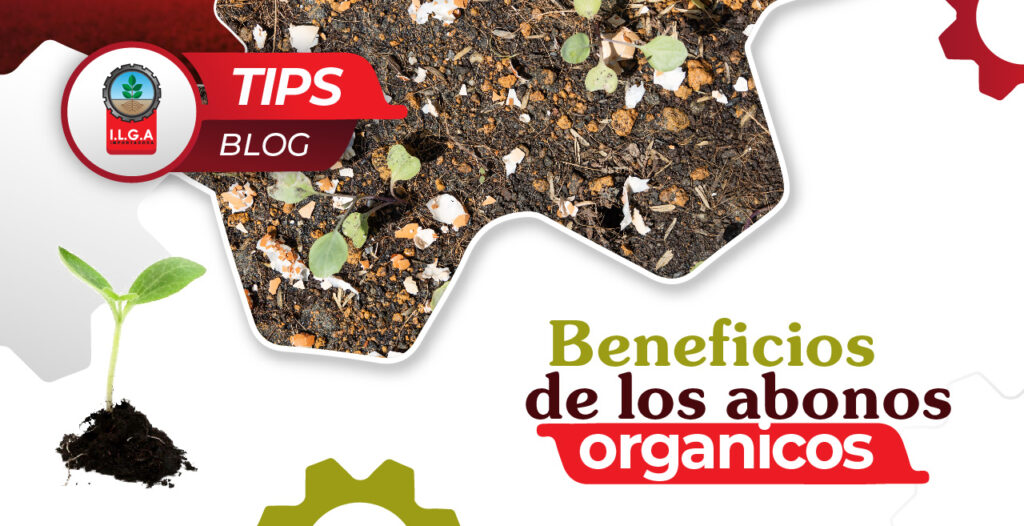 Beneficios de los Abonos Orgánicos - ILGA