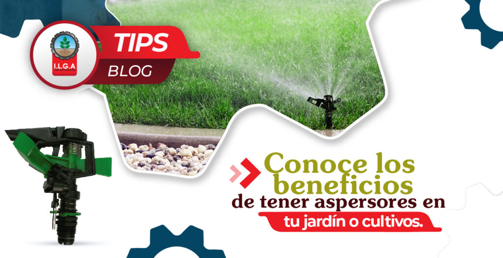 ¿Qué es un aspersor y cuáles son sus beneficios? - ILGA